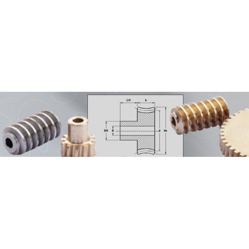 Vis sans fin module 0,5 laiton - Micro-minature.ch Sàrl